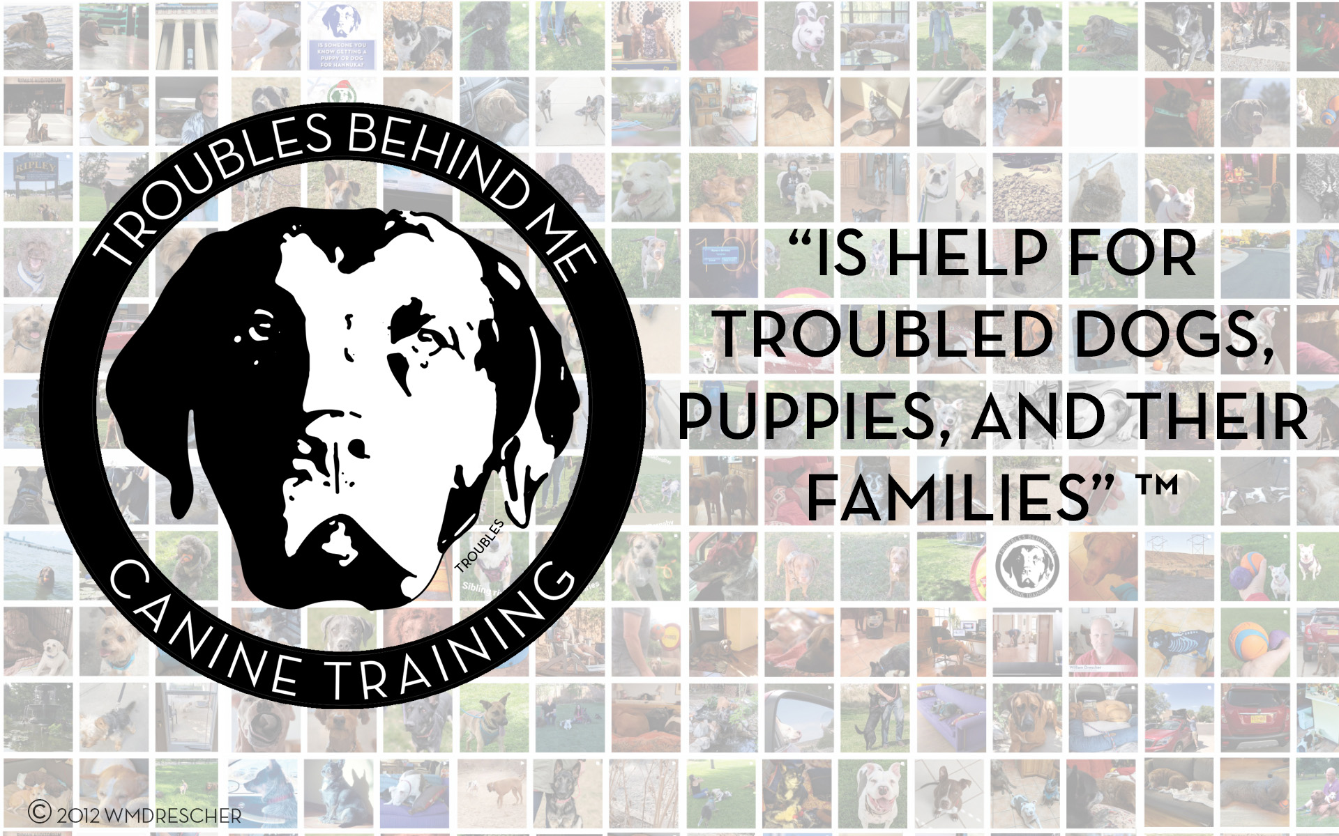 Expert Dog Trainer & Behaviorist | Troubles Behind Me Canine Training